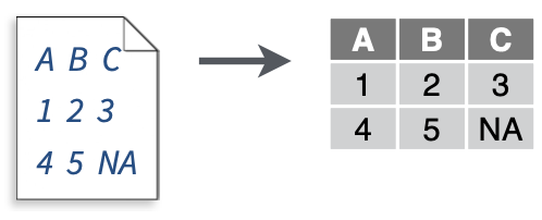 R语言学习笔记：从数据清洗到高级统计学和生物信息学 - 数据的读取与输出