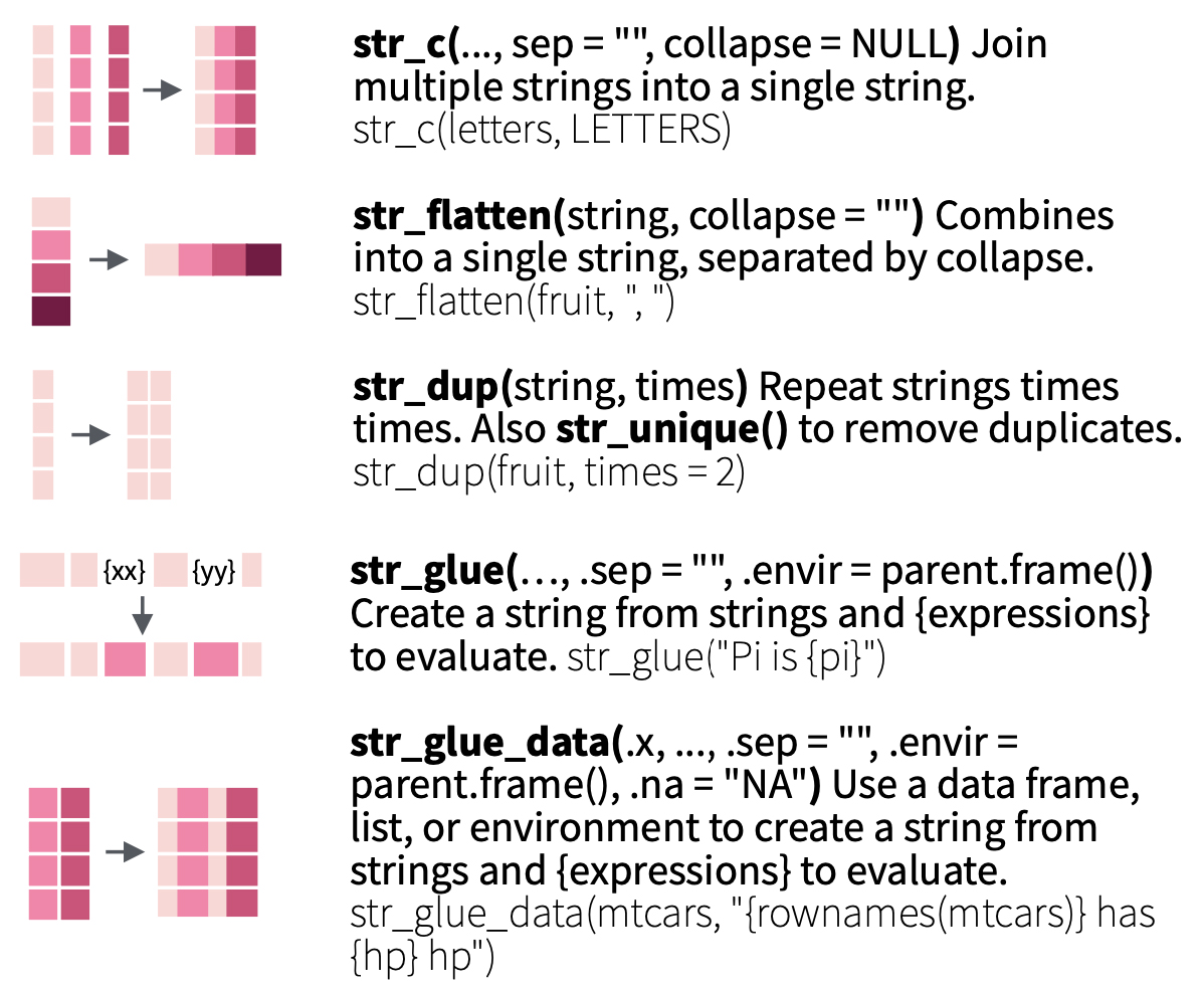 R语言学习笔记：从数据清洗到高级统计学和生物信息学 - 基于stringr的字符串处理